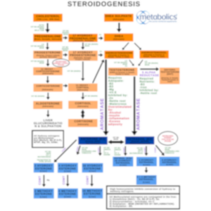Steroidogenesis Chart - Pure Health Solutions